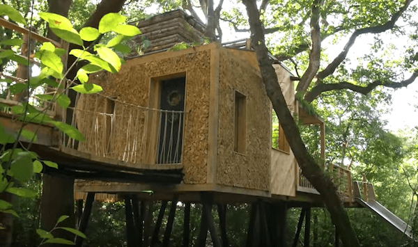 A Real 'Branch Manager' - CliffCentral